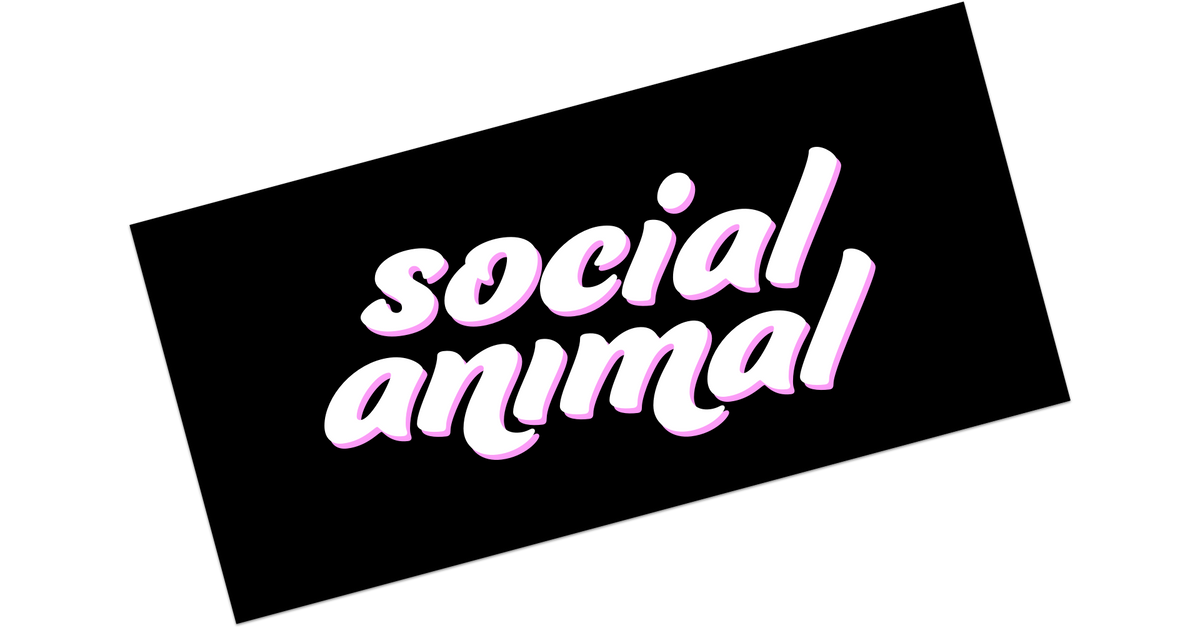 Social Animal – Social Animal